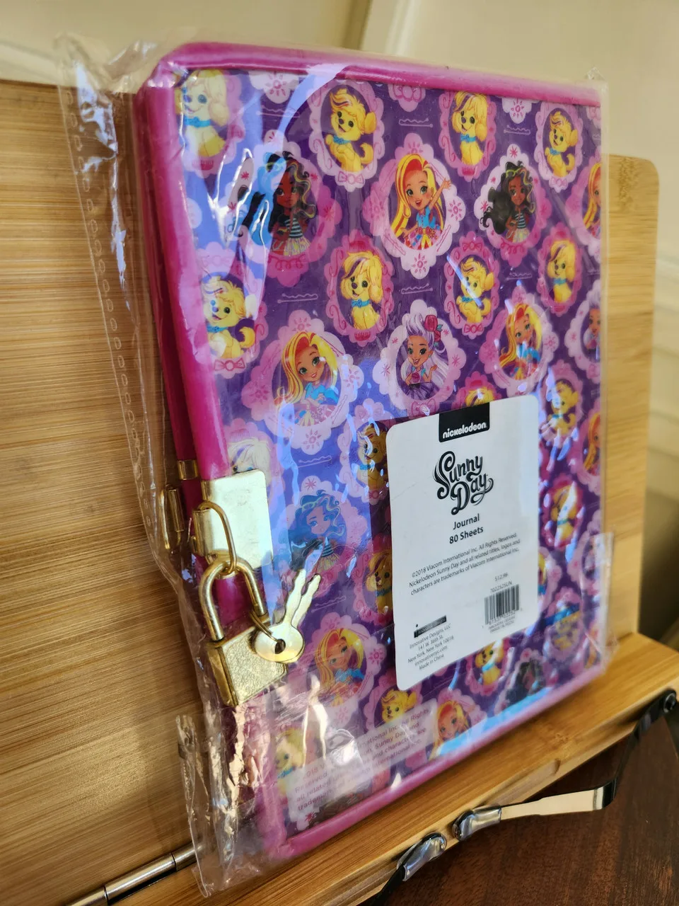 NICKELODEON Padlocked Sunny Day TV Series Journal - Father Joe's Villages