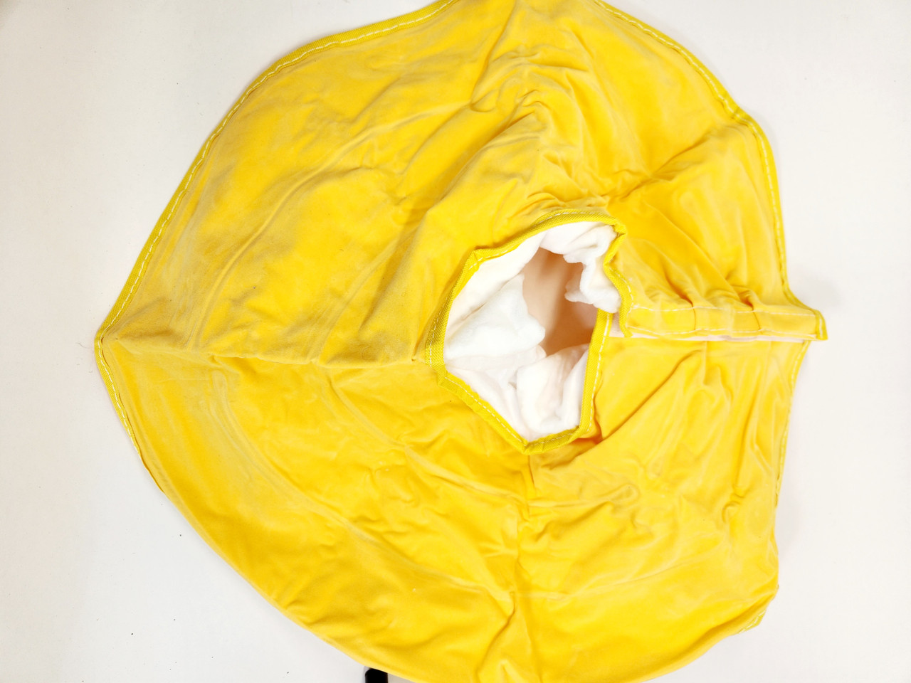 Inflatable Recovery Cone for Pets - Father Joe's Villages