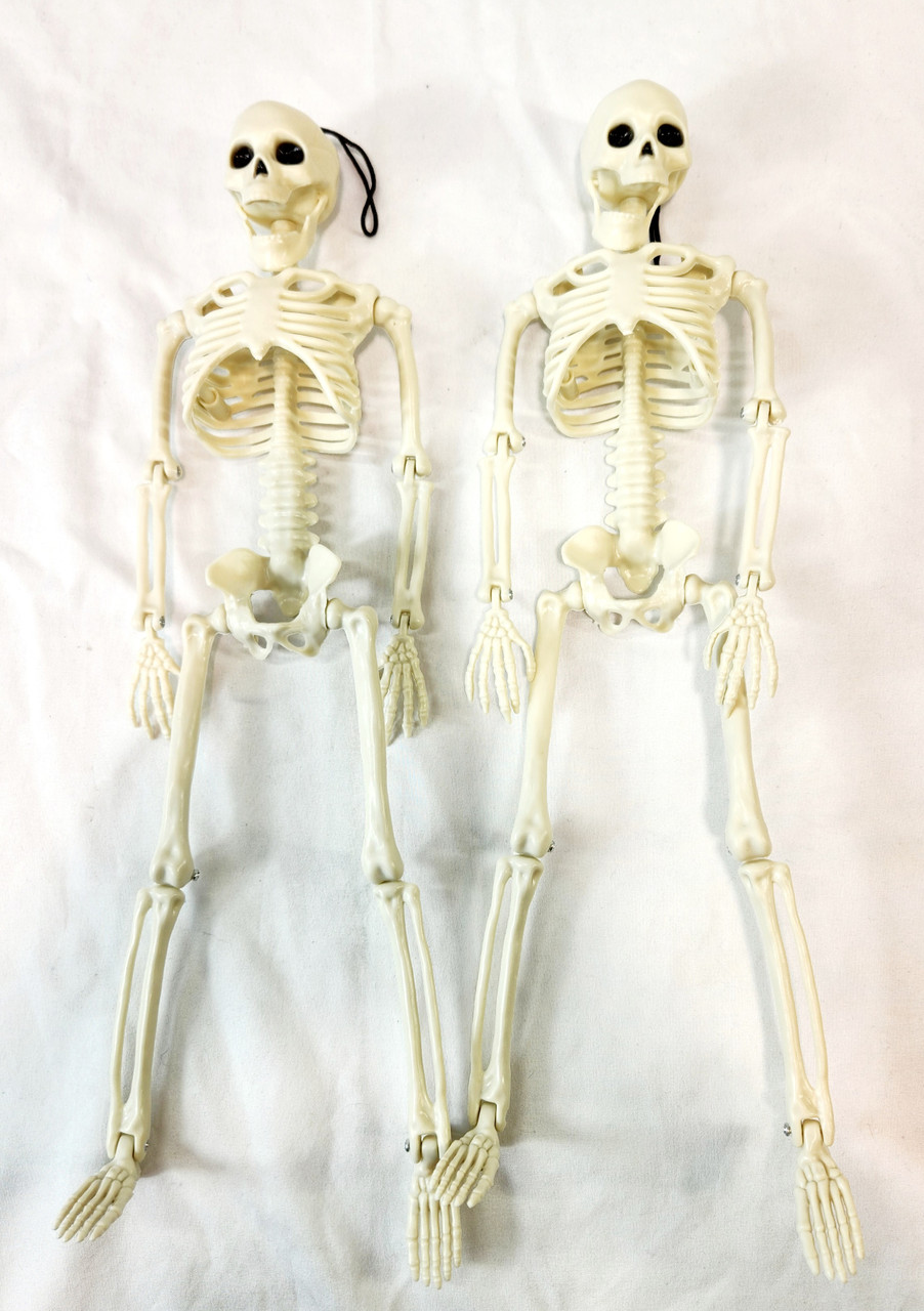 Posable Skeletons, 16", Set of 2 - Father Joe's Villages