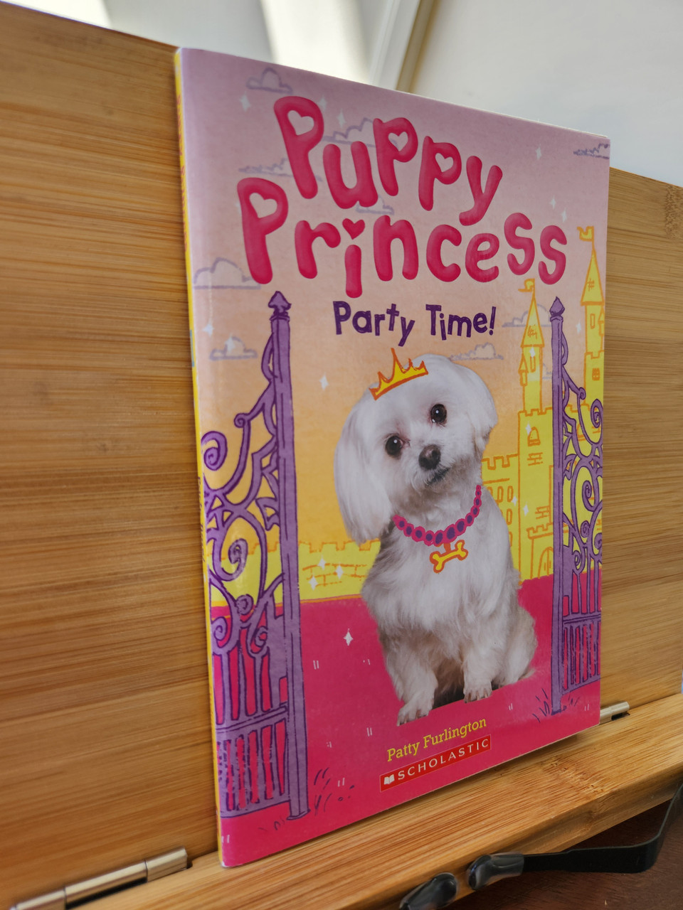 Puppy Princess: Party Time! (Book, PB) - Father Joe's Villages