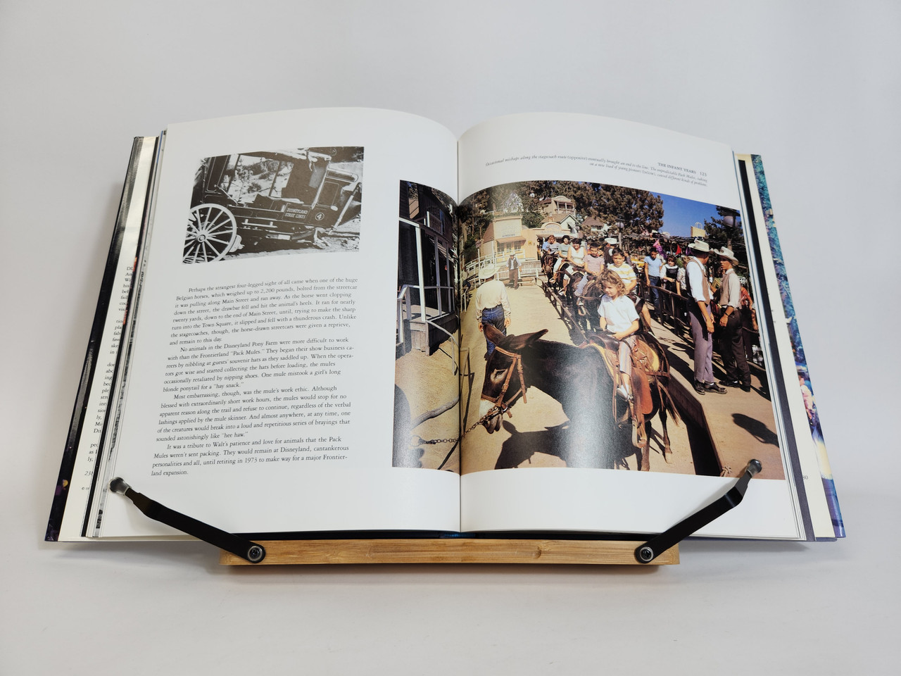 Disneyland Inside Story (Book, HB) - Father Joe's Villages